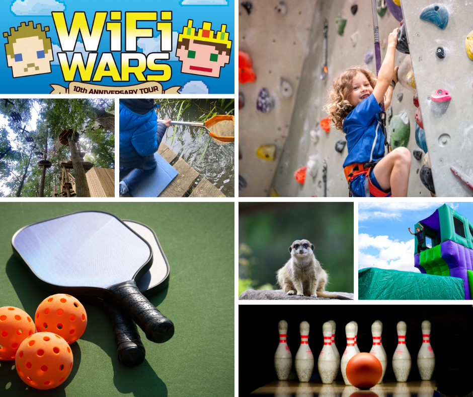 30 things to do in Chelmsford this May half term | City Life