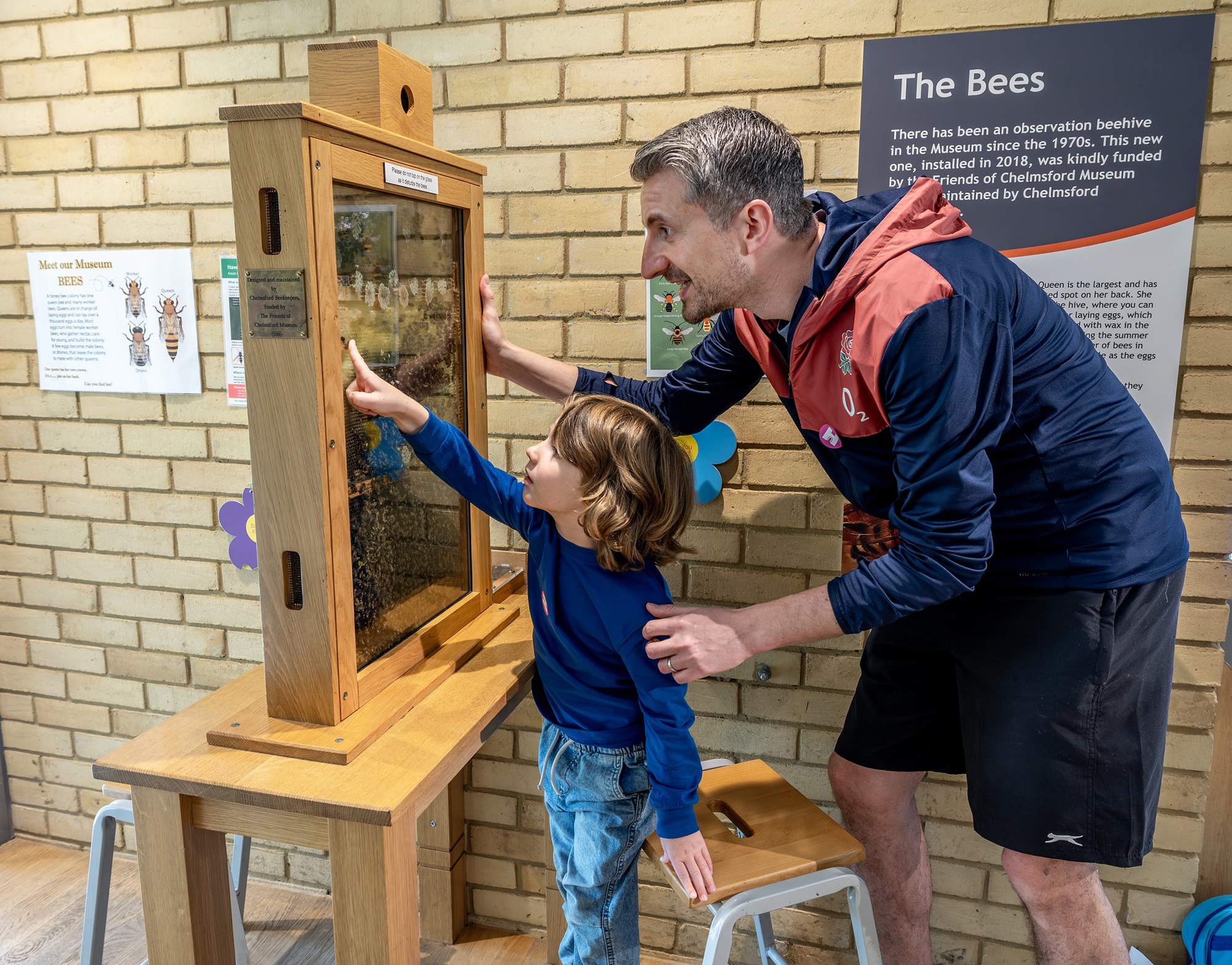 Museum of Chelmsford awarded major grant from UK Museum Renewal Fund ...
